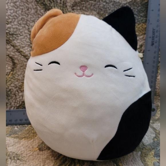 Kellytoy | Toys | Kellytoy Squishmallow Kitty Cat Cam Calico Stuffed ...